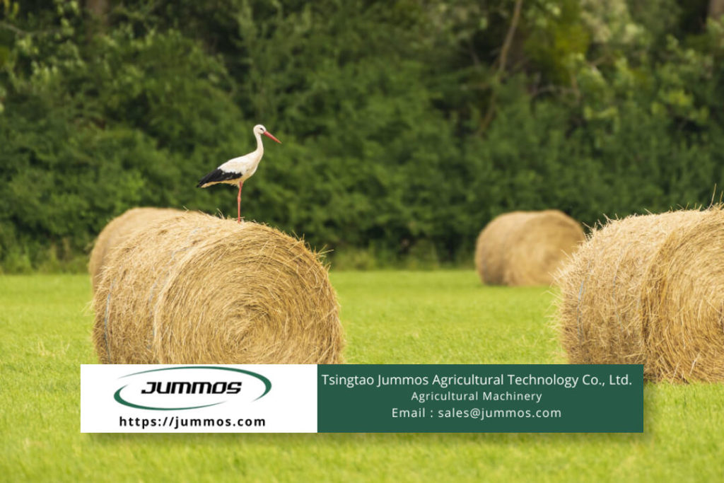 A Guide to Quality Wrapping Hay Bales for Storage - Jummos